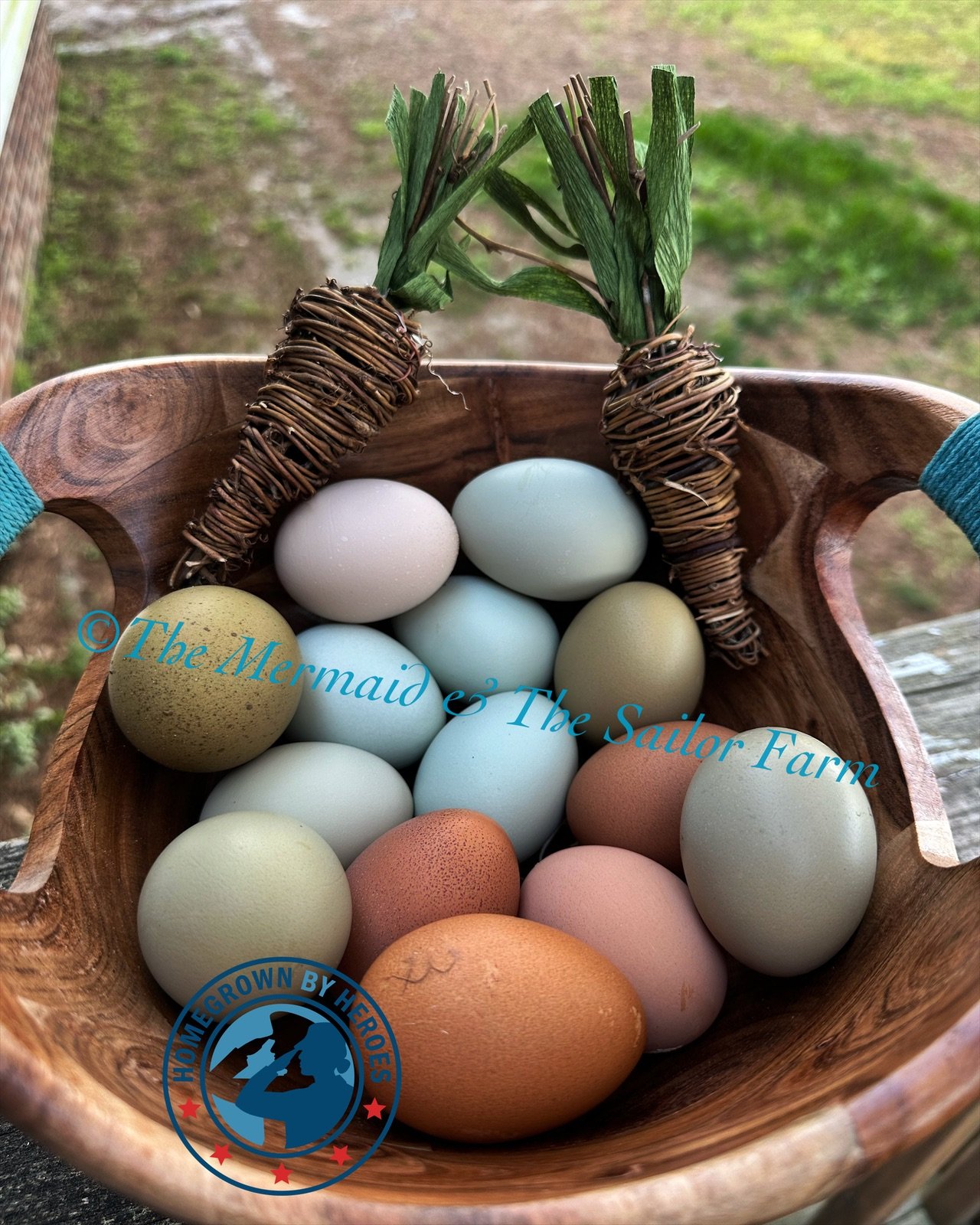 Olive Egger Hatching Eggs (F1-F3) First Generation-Third Generation on ...