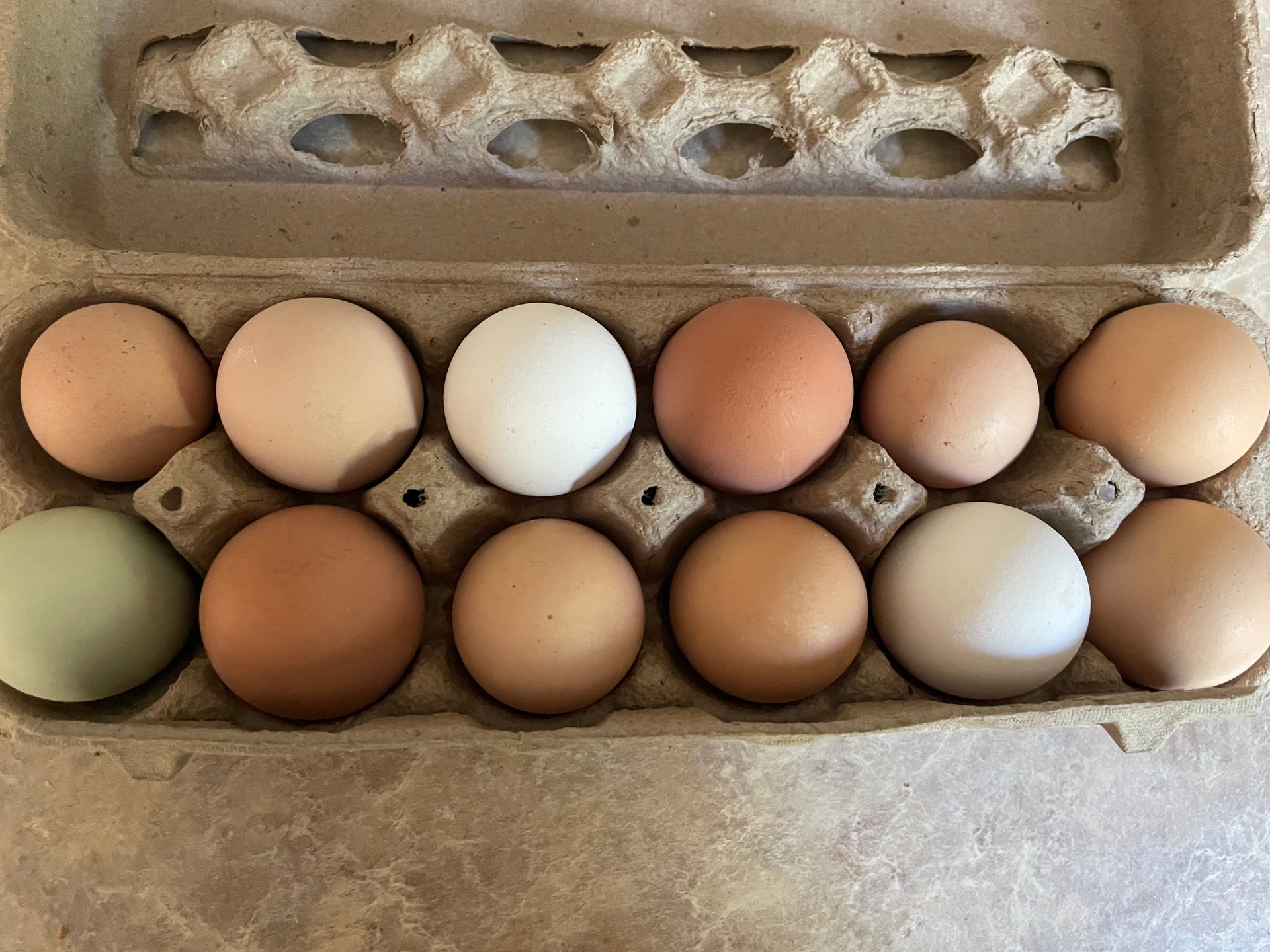 Farm fresh chicken and duck eggs on Farmish
