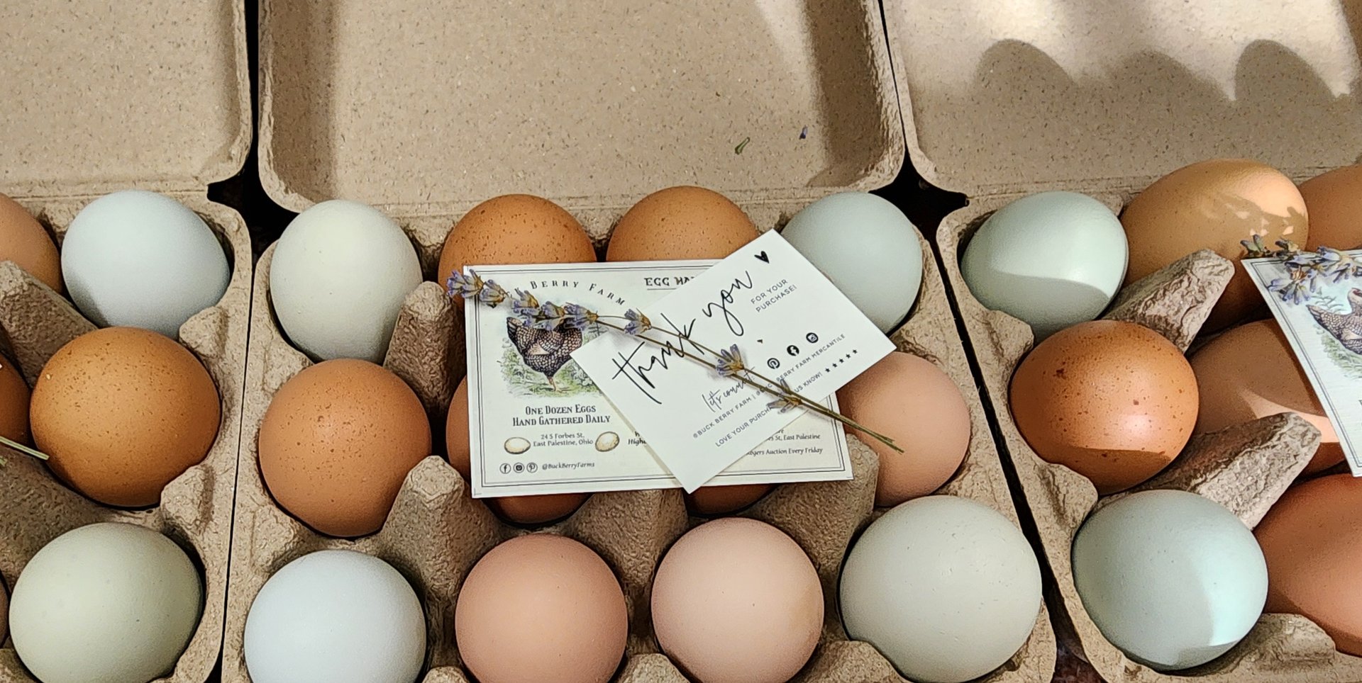 Farm Fresh Free Range Eggs on Farmish