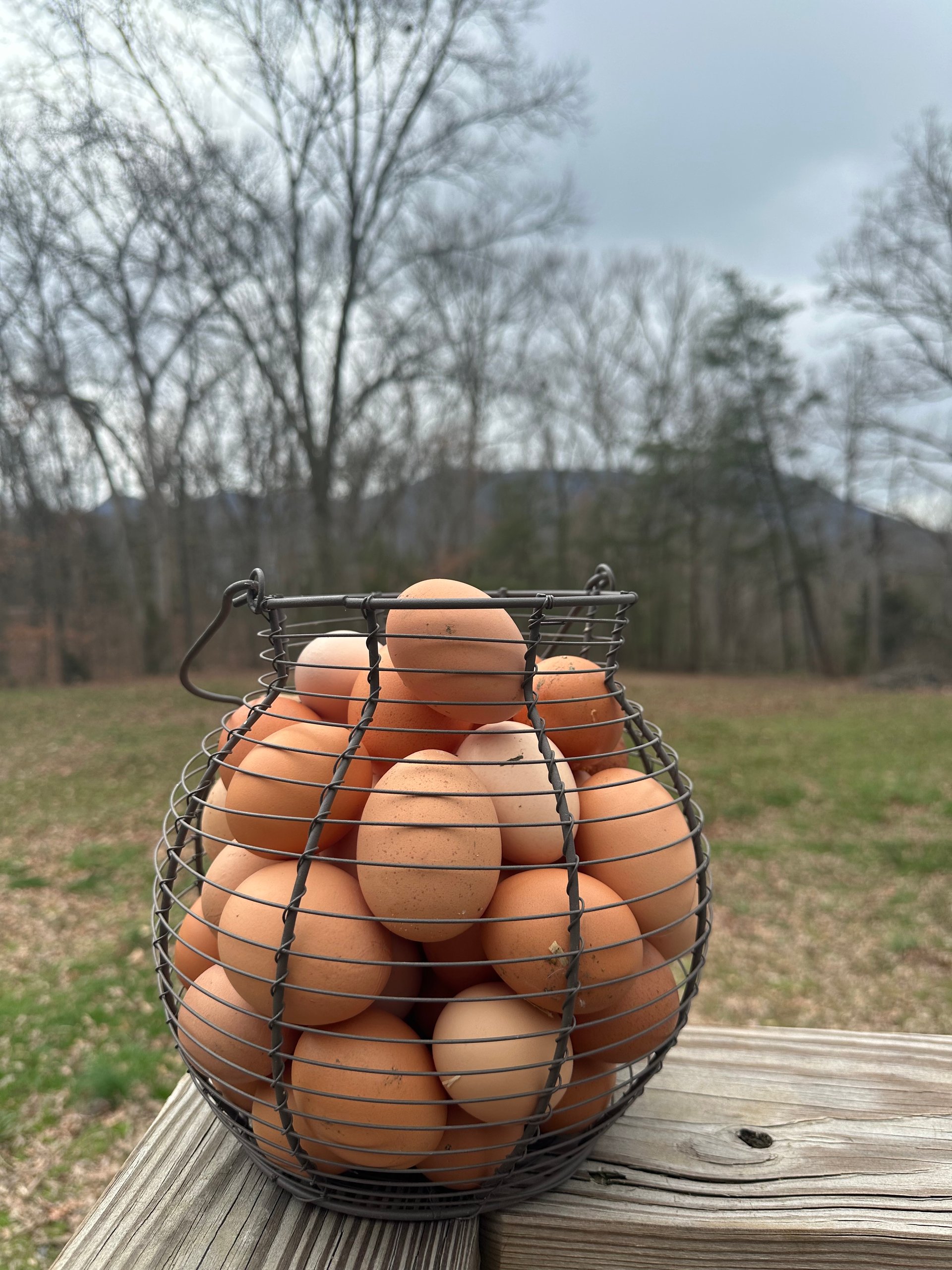 Free range chicken eggs on Farmish