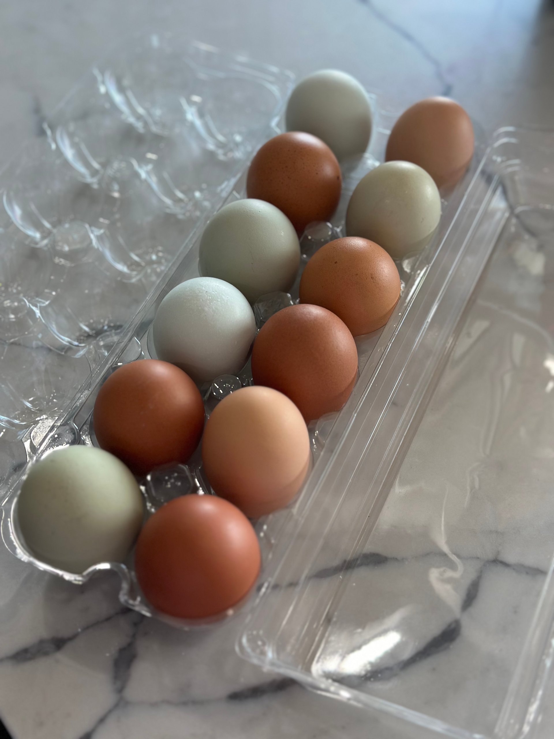 Fresh Washed Eggs on Farmish