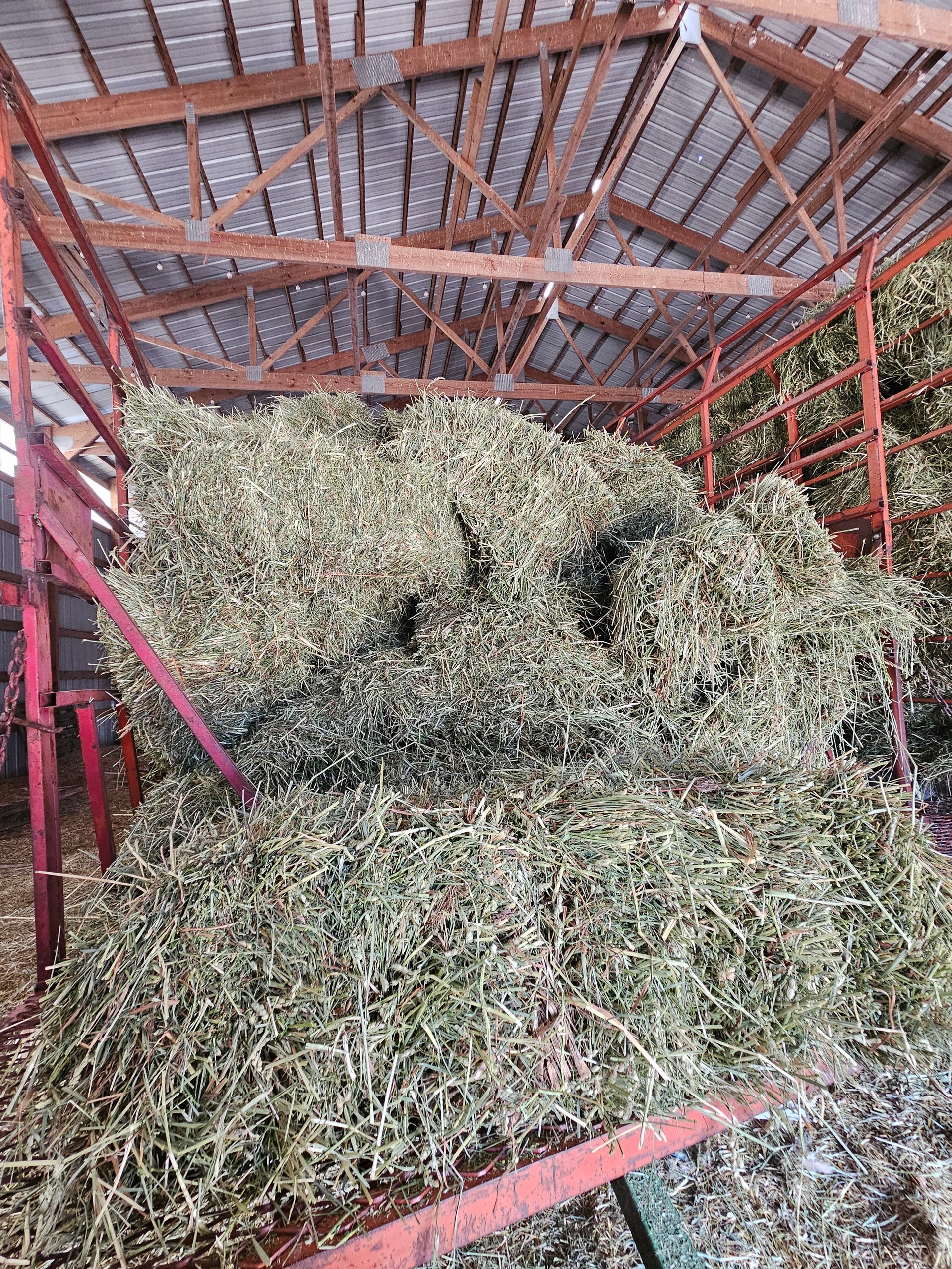 Alfalfa Grass Mix Hay - Small Squares on Farmish