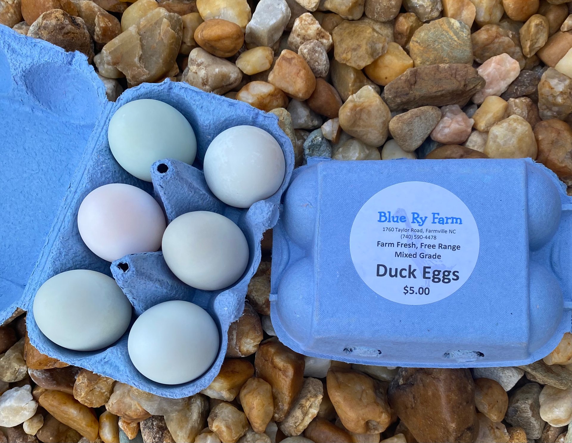 Farm Fresh Duck Eggs on Farmish