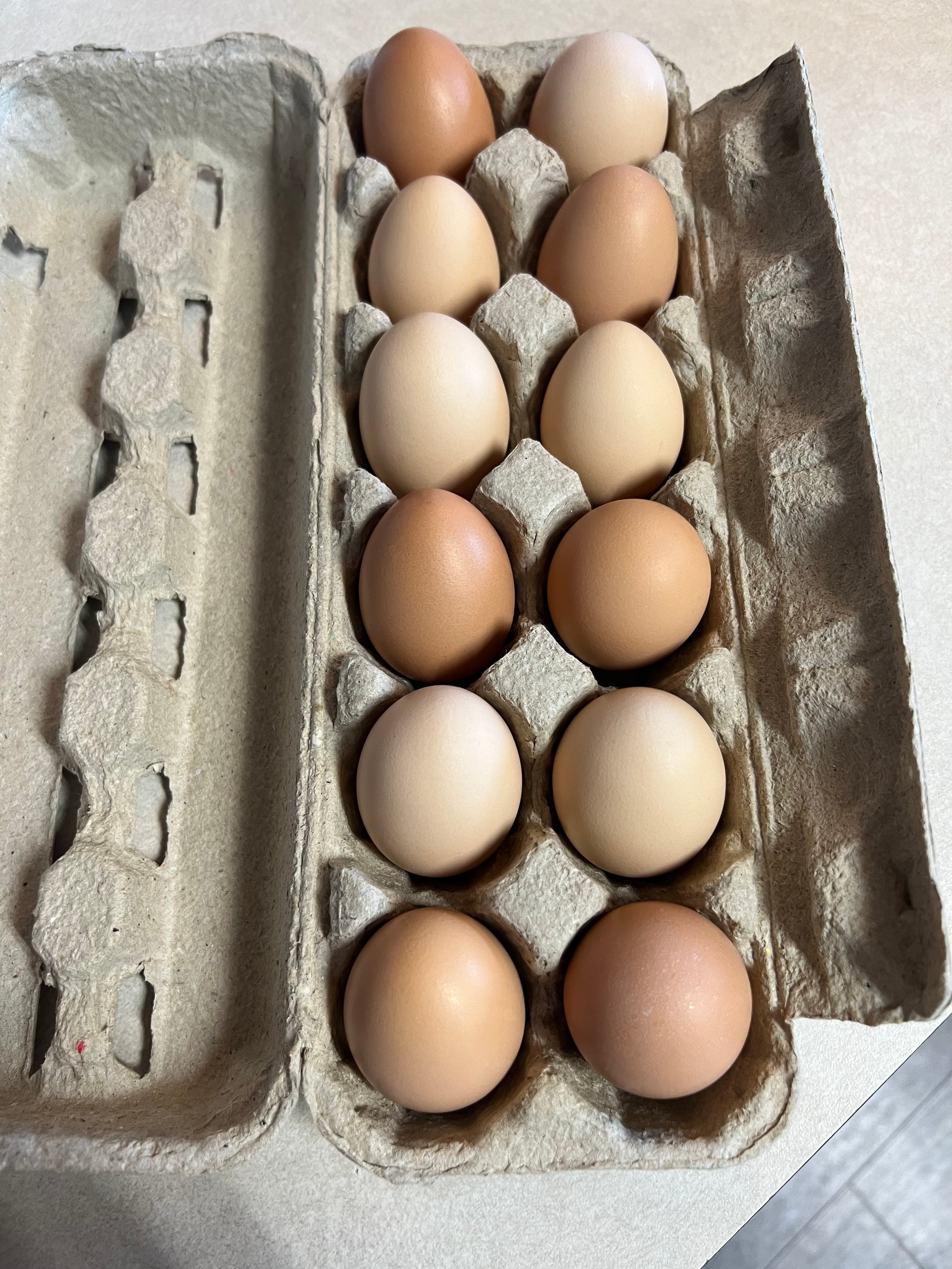 Farm Fresh Eggs on Farmish