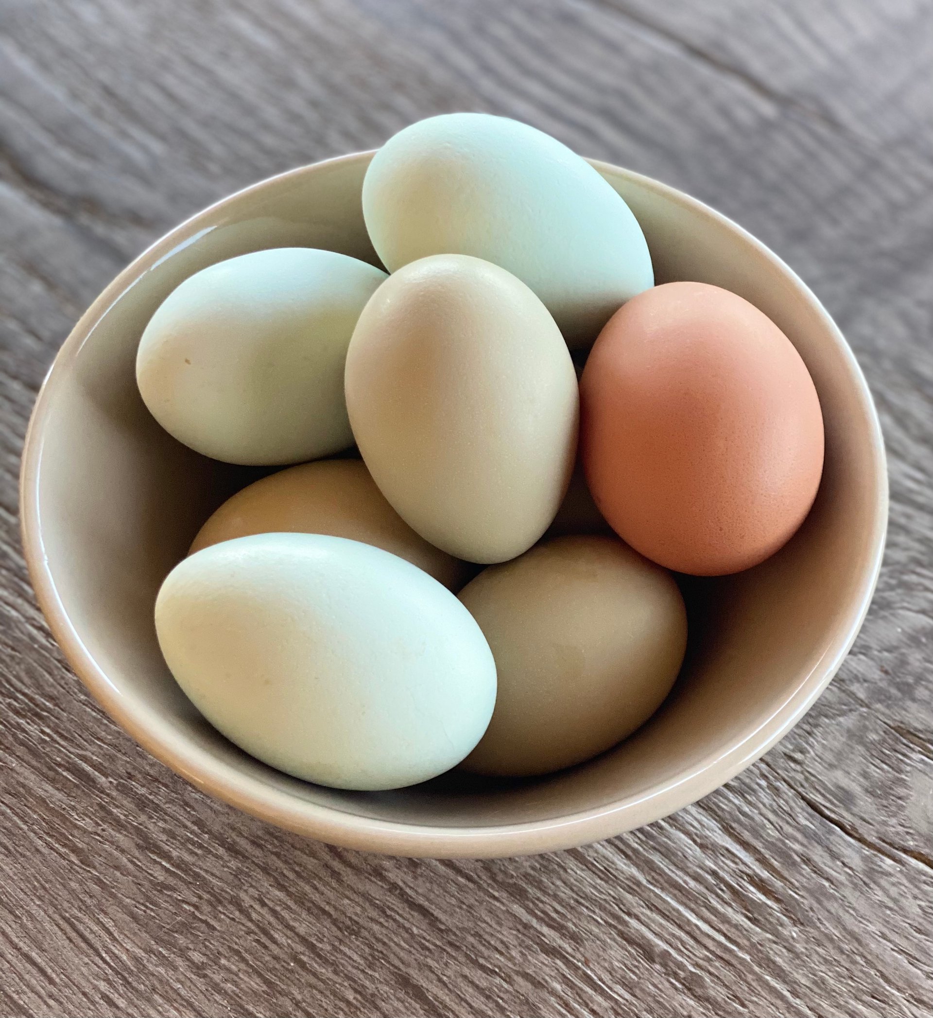 Organic fed Farm fresh chicken eggs on Farmish