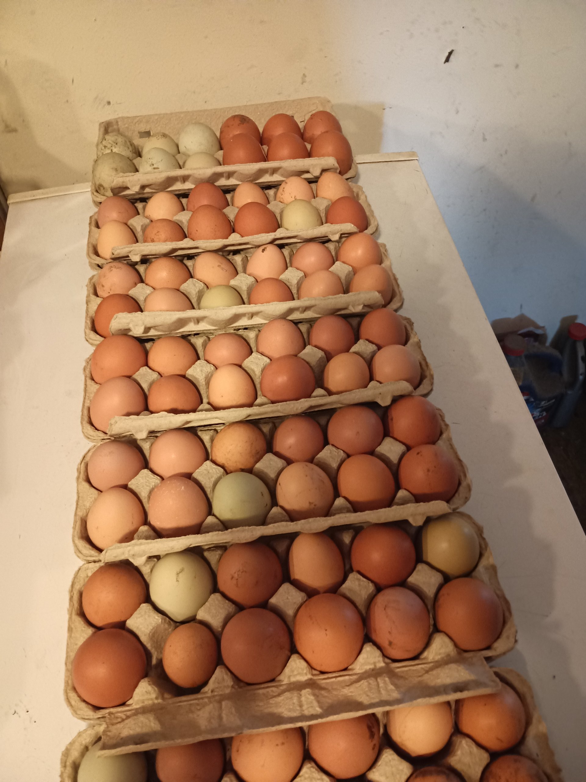 Self Service Farm Stand on Farmish