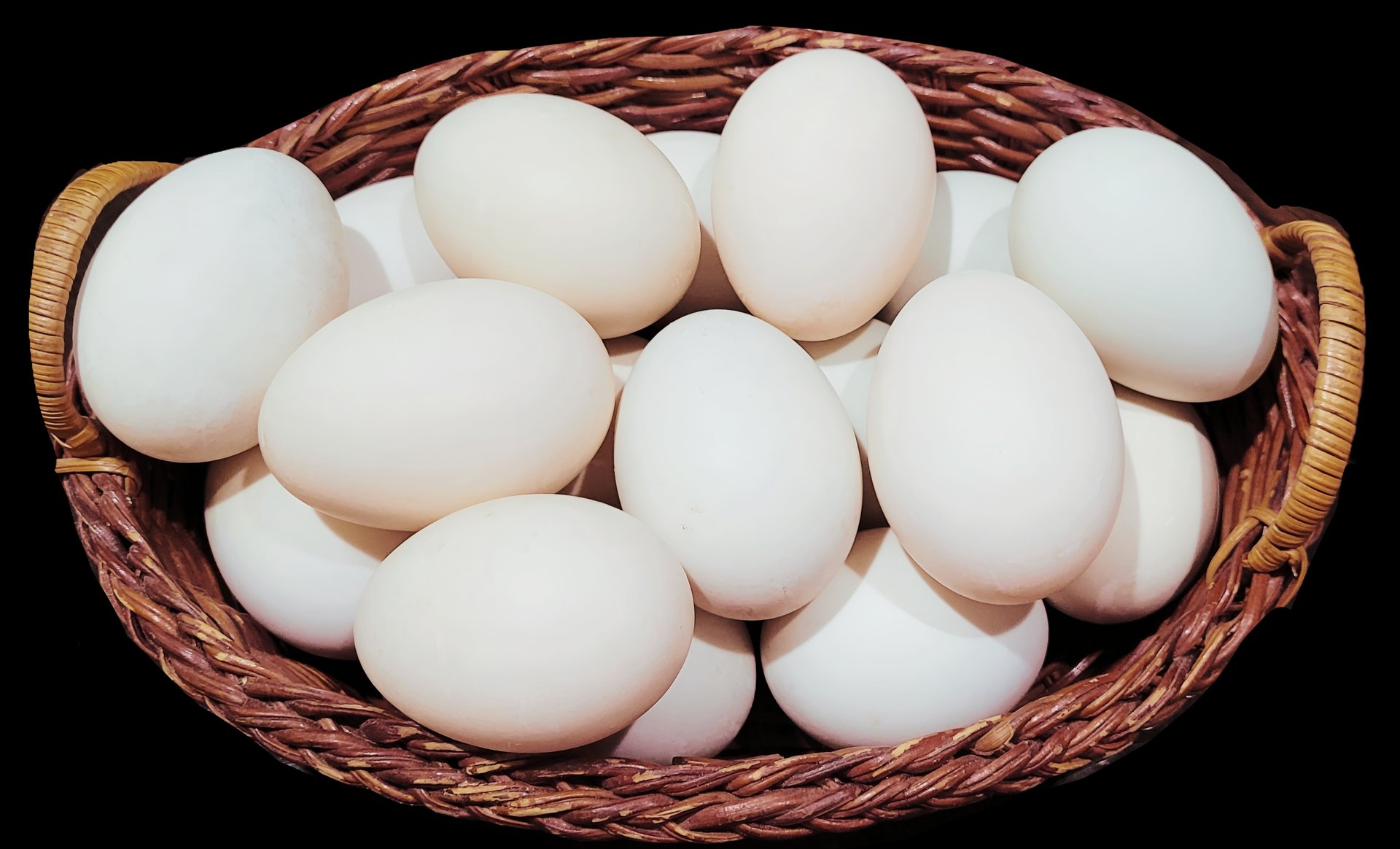 1 Dozen Pasture-raised Duck Eggs on Farmish