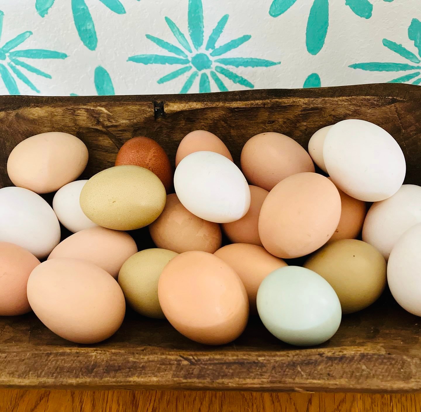 Dozen Free range eggs on Farmish