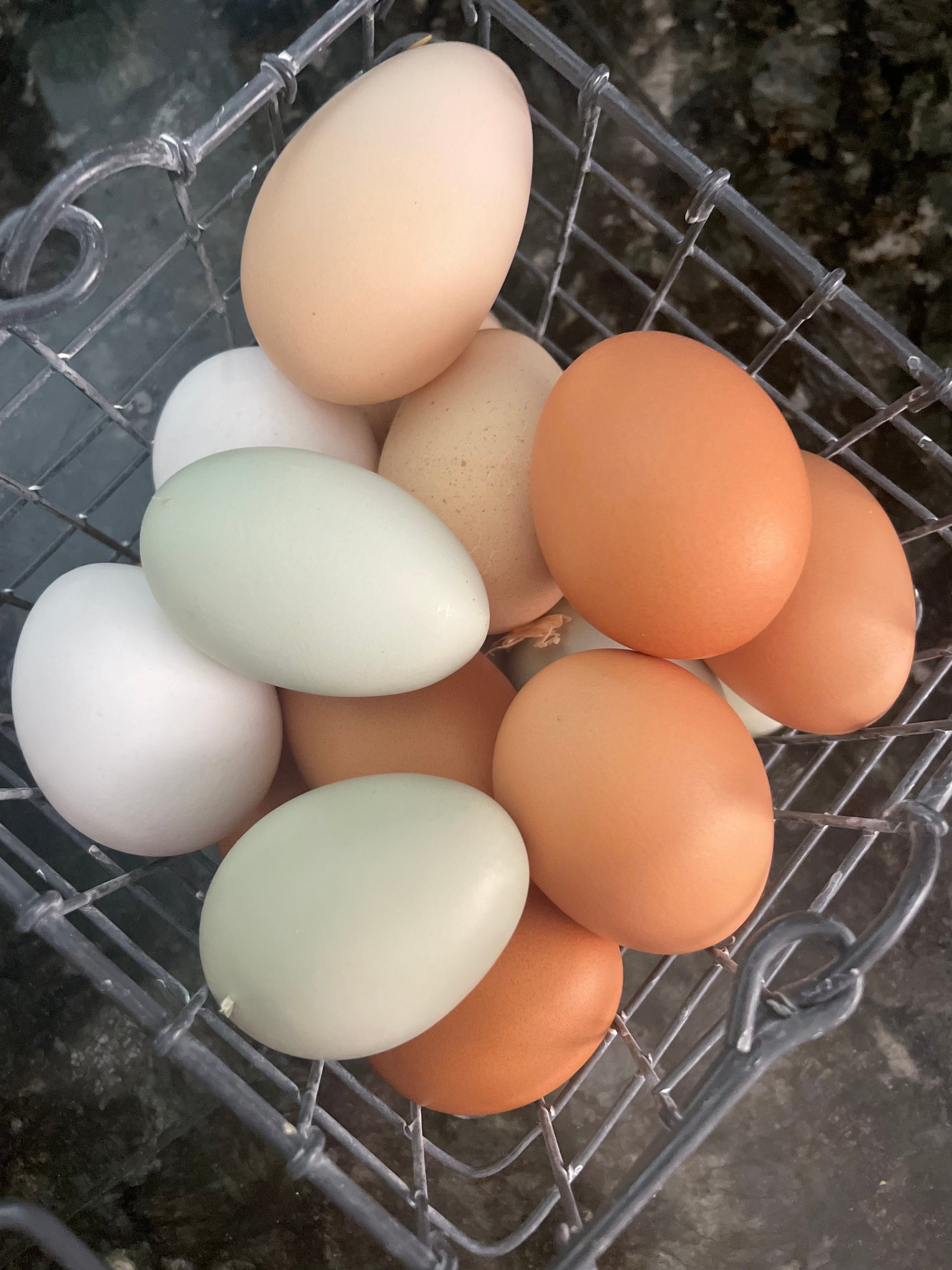 Farm Fresh Free Range Eggs on Farmish