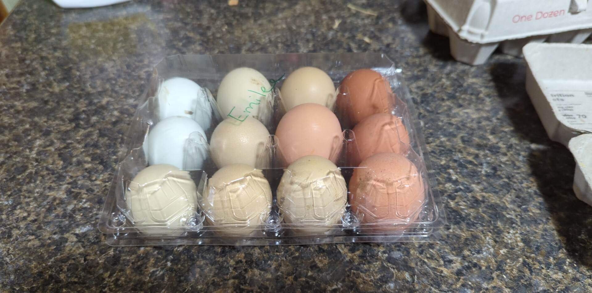 Non GMO Pasture raised Eggs on Farmish