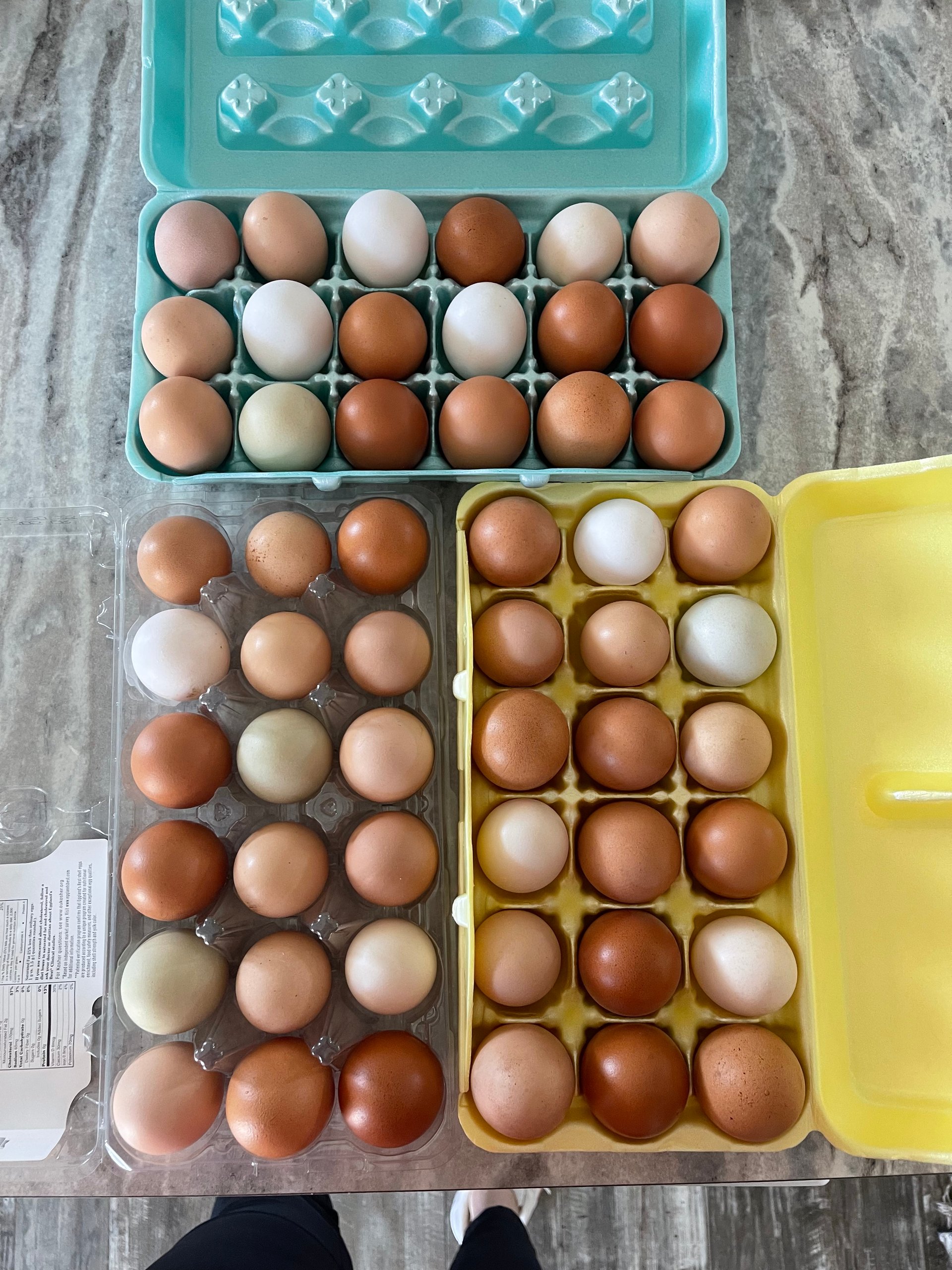 Farm Fresh Free Range Chicken Eggs on Farmish