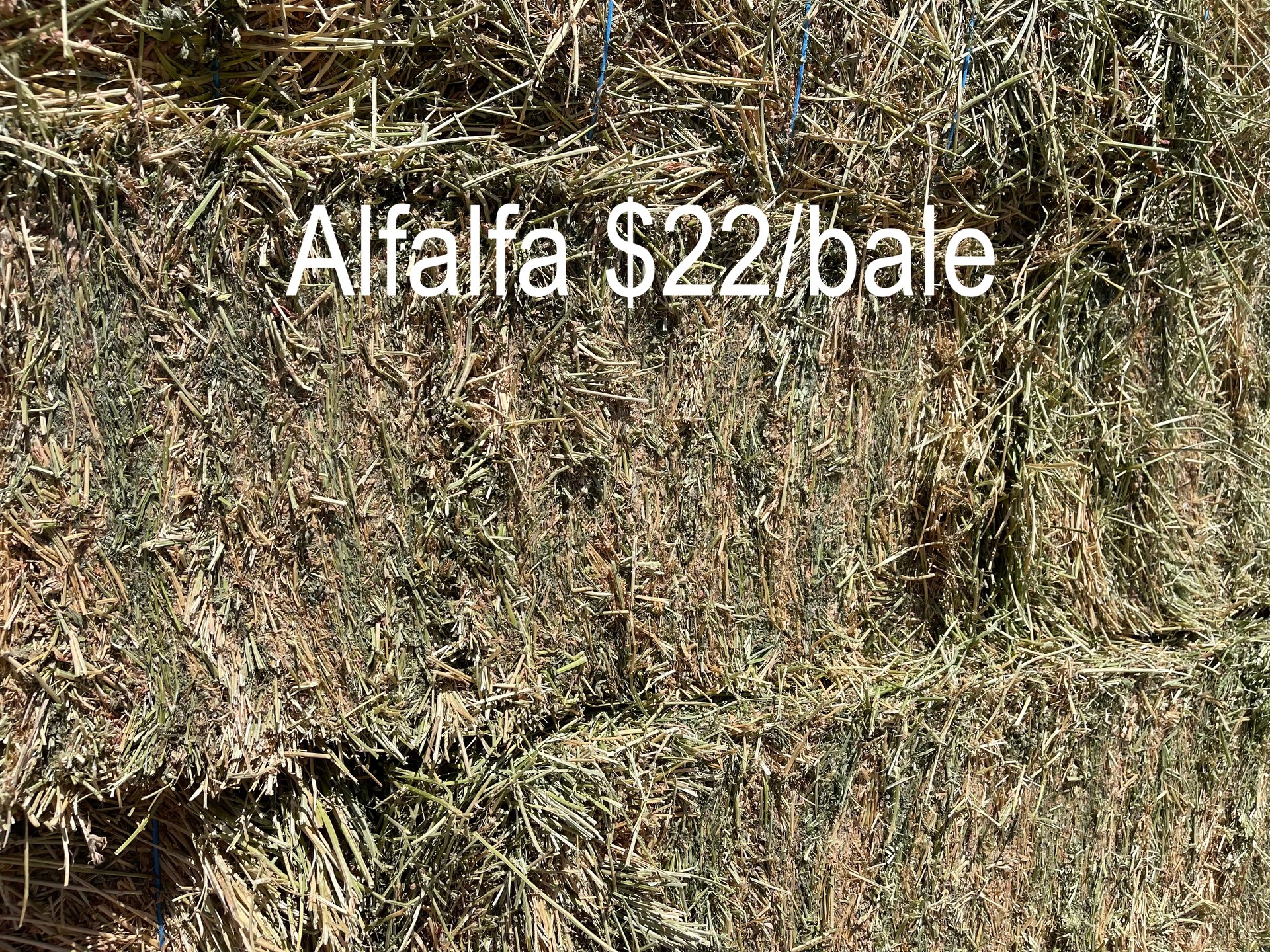 Hay!!! 100lb 3-string bales on Farmish