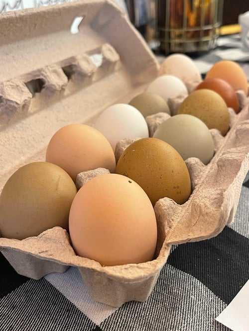 Farm Fresh Free Range Eggs on Farmish